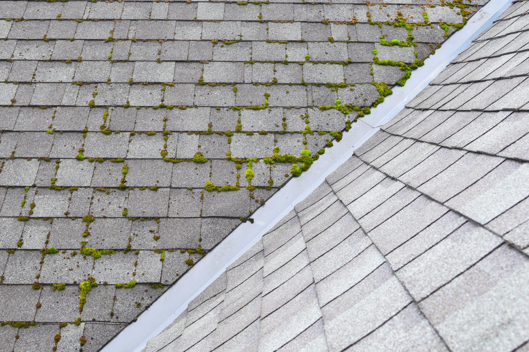 Professional Roof Cleaning Surrey And Moss Removal Ges Exterior Cleaning